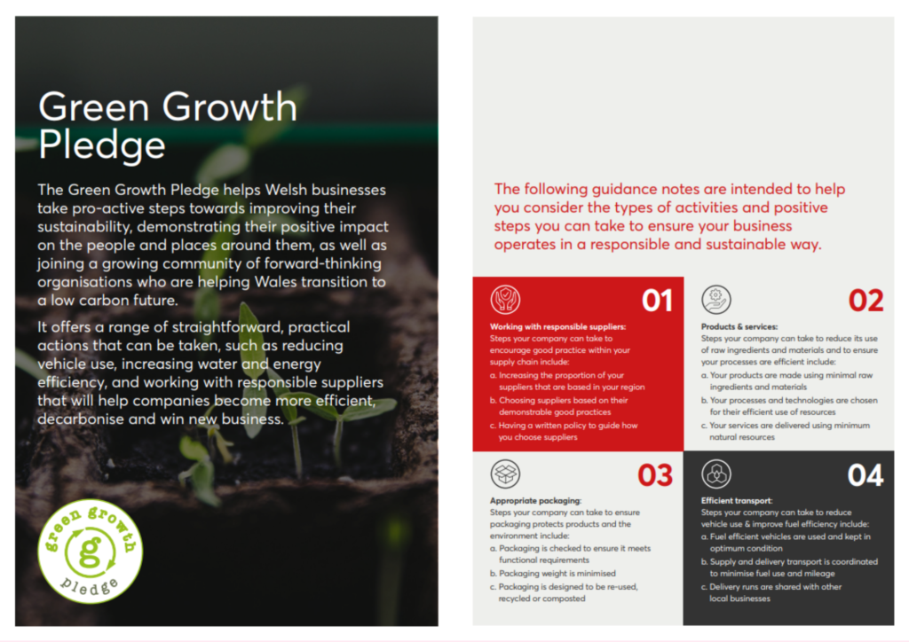 Sustainability | Holistic Hoarding