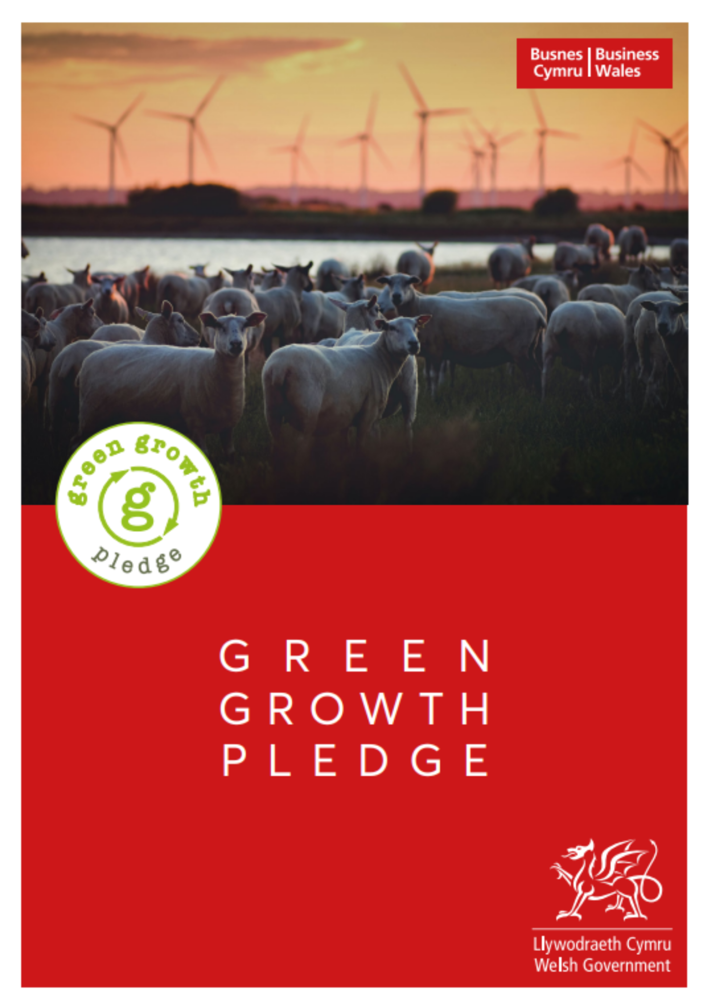 Sustainability | Holistic Hoarding